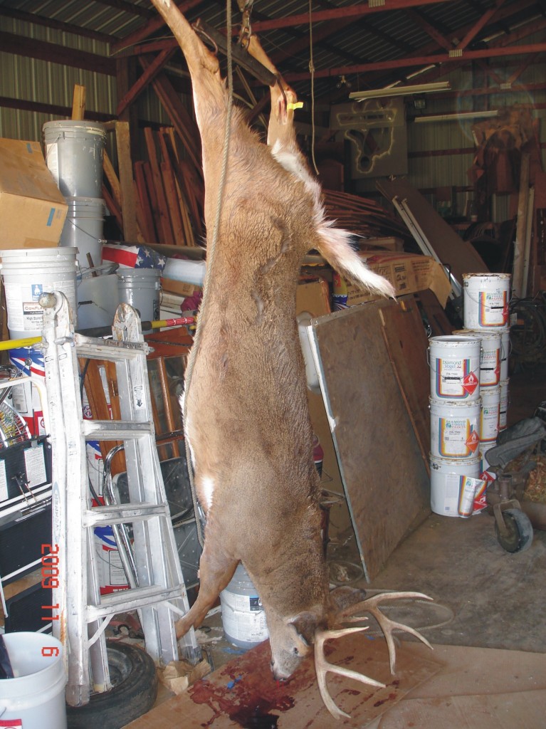 8pt Buck Harvest on Video! | Hunter by Design 8pt Buck Harvest on Video! | Hunter by Design